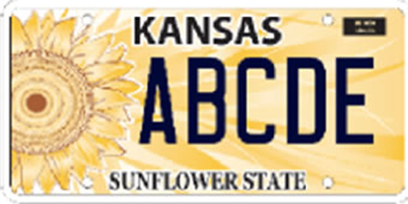 What’s on your (license) plate? | News, Sports, Jobs - The Mirror